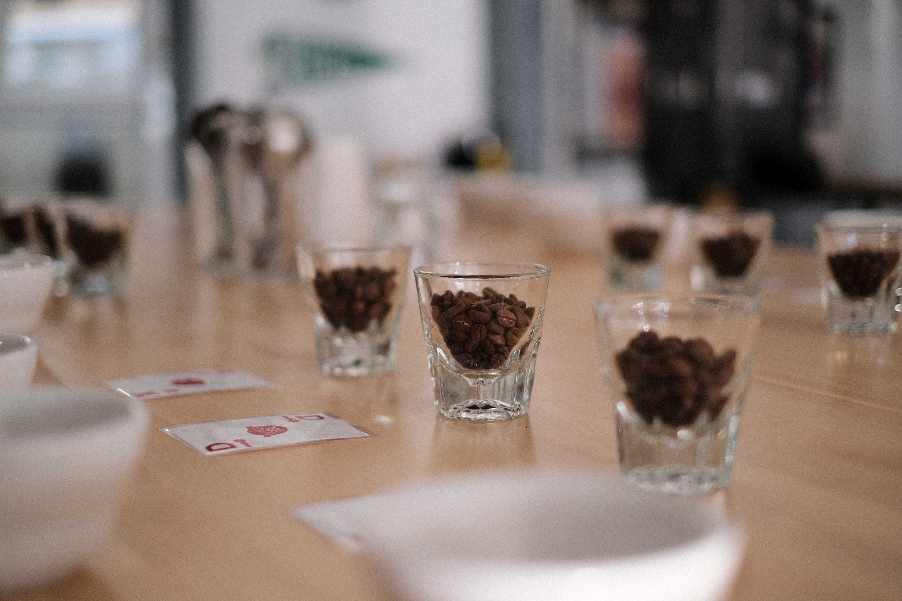 Notes from the Cupping Table: September 2024 – Mill City Roasters