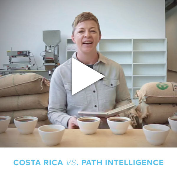 New Video! Putting Path Intelligence to the Test: Costa Rica VS Path I ...