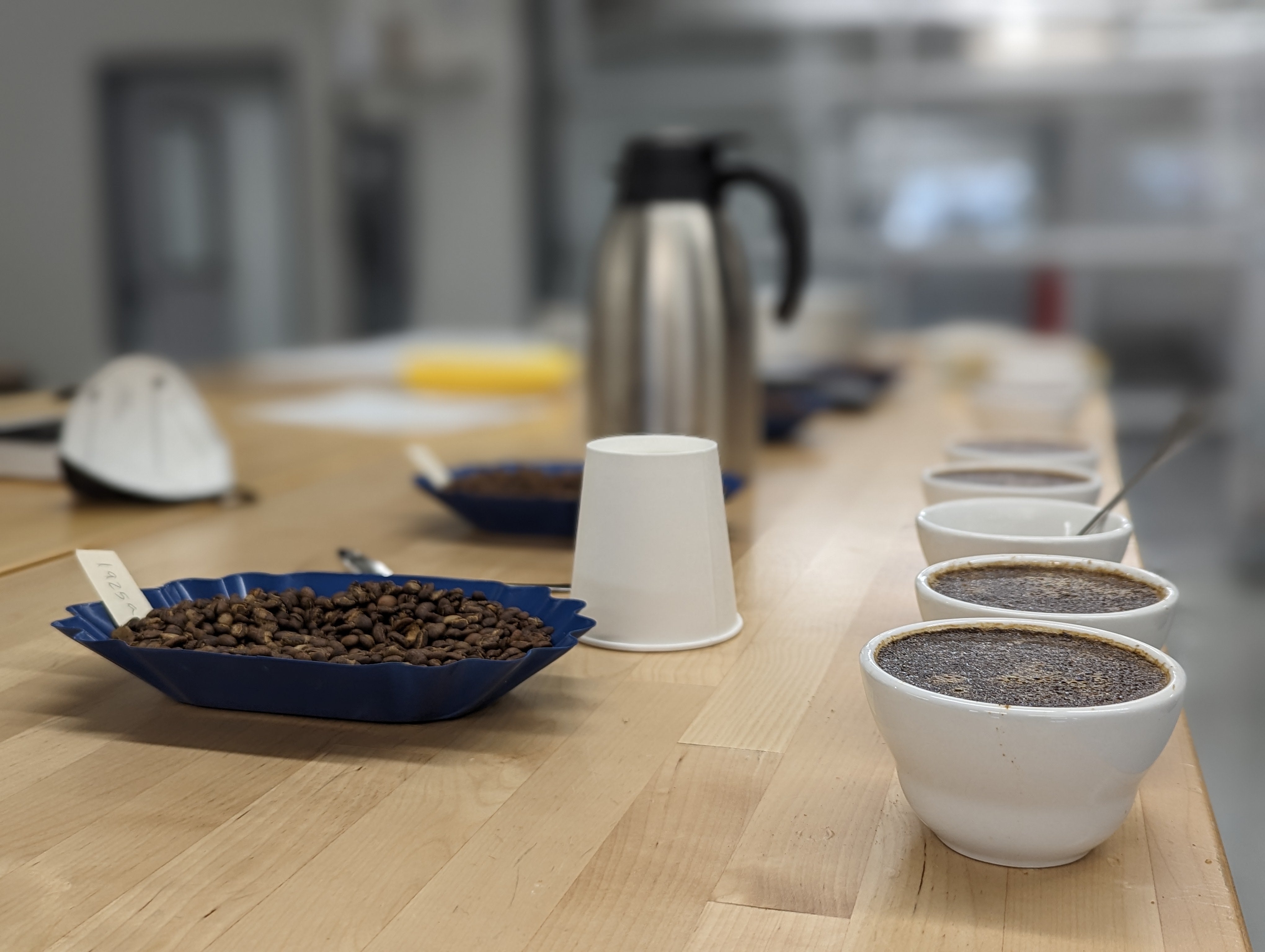 Notes from the Cupping Table: November 2024 – Mill City Roasters